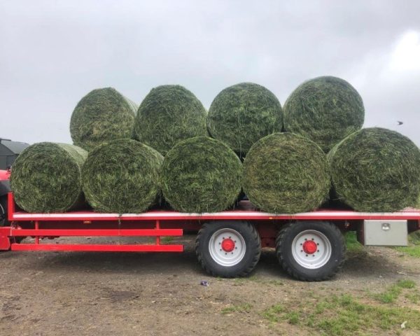 New Spec Bale Trailer! | McCauley Trailers