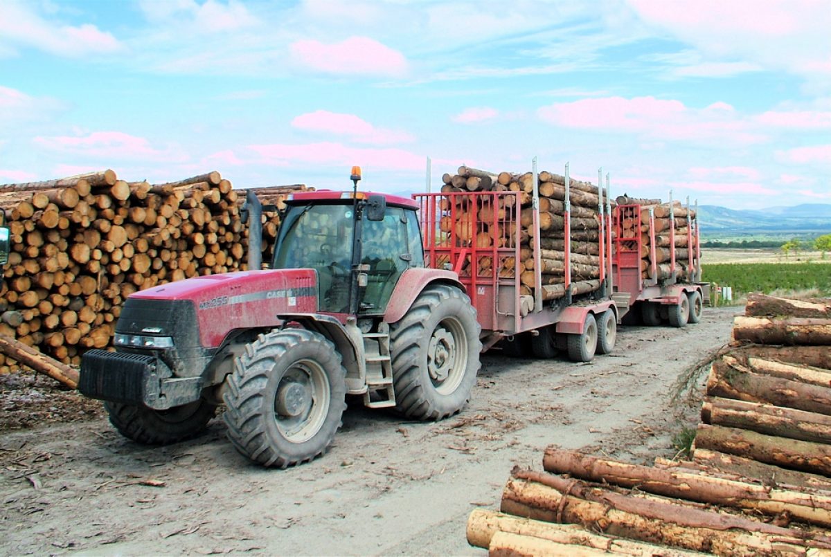Forestry Trailers | Timber Trailers | Europe | McCauley Trailers